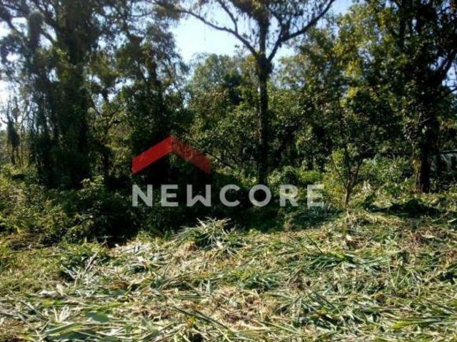 Lote em Estrada da Fazenda Agenor de Campos Mongaguá/SP