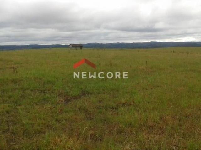 Lote em Estrada Faz do Baú juá Interior São Francisco de Paula/RS