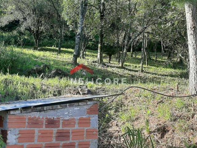 Lote em Estrada Linha Marcondes Marcondes Gramado/RS