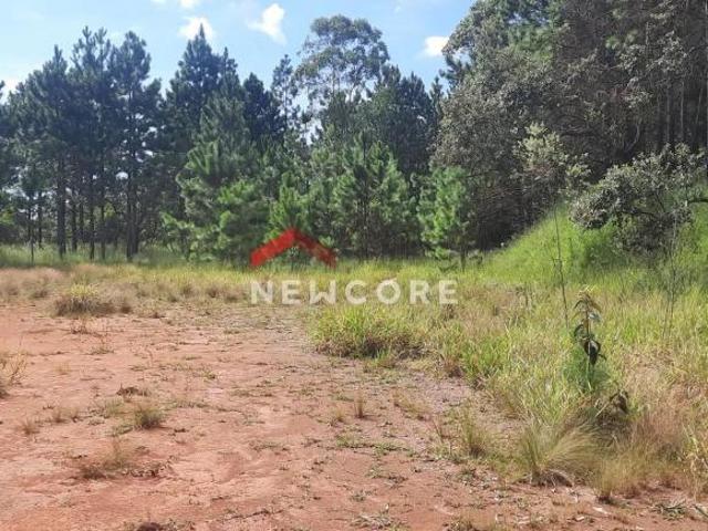 Lote em Estrada Municipal Miguele Petri Terra Preta Terra Preta Mairiporã/SP