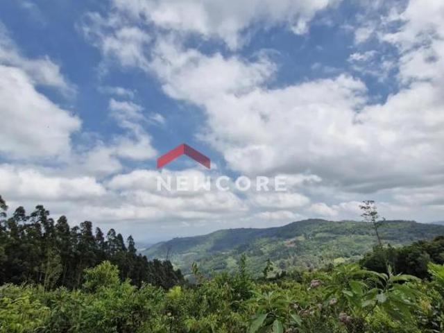Lote em Estrada Samambaia Samambaia São Francisco de Paula/RS