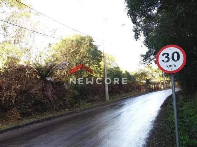Lote em Estrada Serra Velha São Bernardo São Francisco de Paula/RS