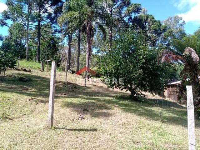 Lote em Estrada Rincão dos Kroeff Rincão do kroeff São Francisco de Paula/RS