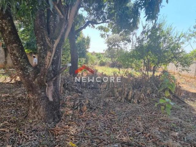 Lote em Iperó George Oetterer Bacaetava Iperó/SP