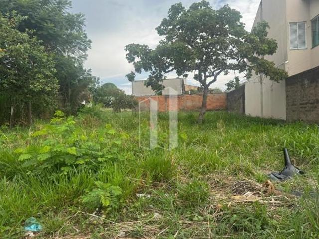 Lote em Jardim Presidente Goiânia
