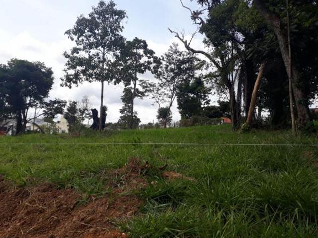 Lote em Lagoa Santa no condomínio Champagne