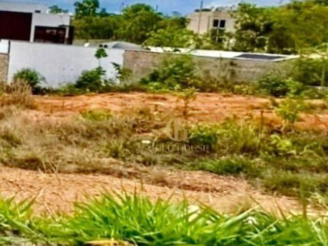 Lote em Lagoa Santa no Condomínio Mariposas