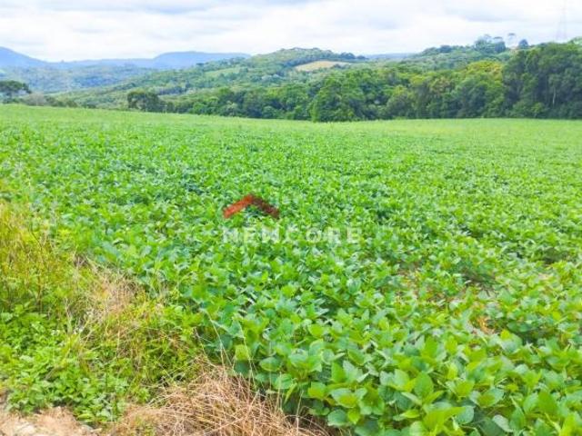 Lote em Lote Campo Largo Felpudo/PR