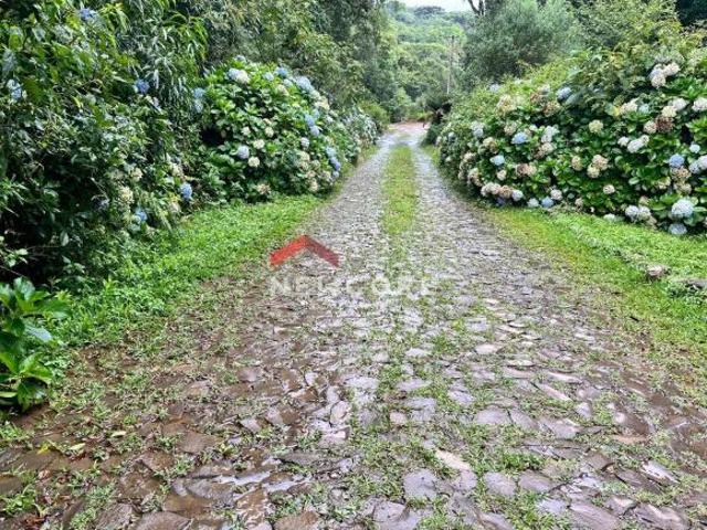 Lote em Rua 21 Alpes São Francisco de Paula/RS