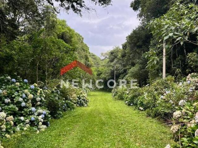 Lote em Rua 21 Alpes São Francisco de Paula/RS