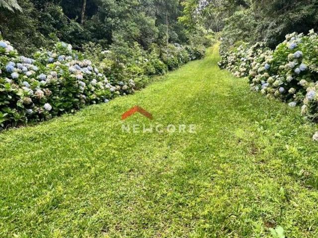 Lote em Rua 21 Alpes São Francisco de Paula/RS