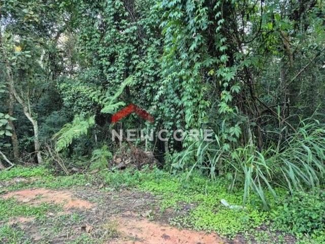 Lote em Rua Wagner Camargo da Cruz Capuava Embu das Artes/SP