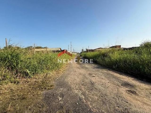 Lote em Rua Xerentes Tupy Itanhaém/SP