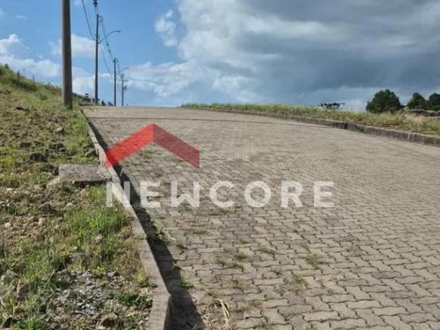 Lote em Rua Aa Parque Santa Isabel São Francisco de Paula/RS