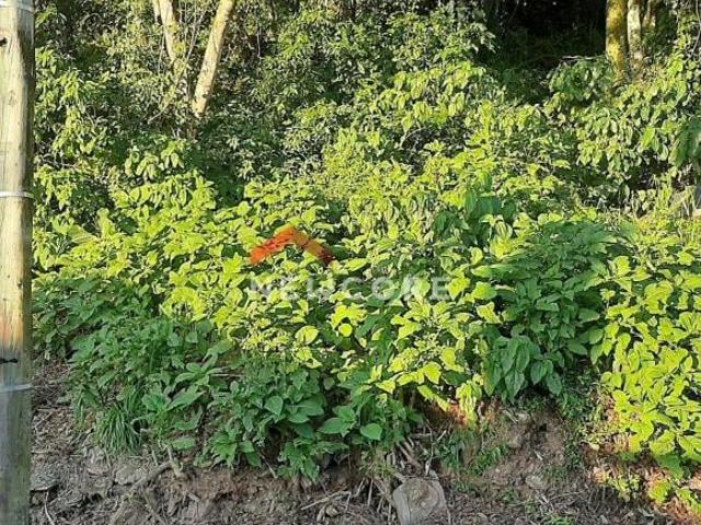 Lote em Rua Abel Parmegiani Floresta Gramado/RS
