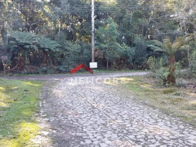 Lote em Rua Abutilon Colinas São Francisco de Paula/RS