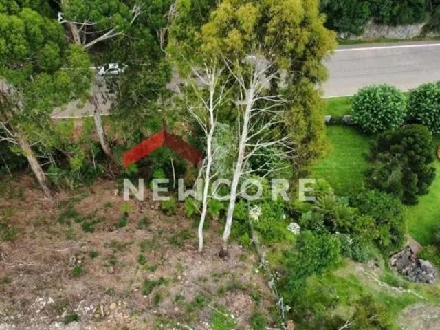 Lote em Rua Alziro Tôrres Filho Centro São Francisco de Paula/RS