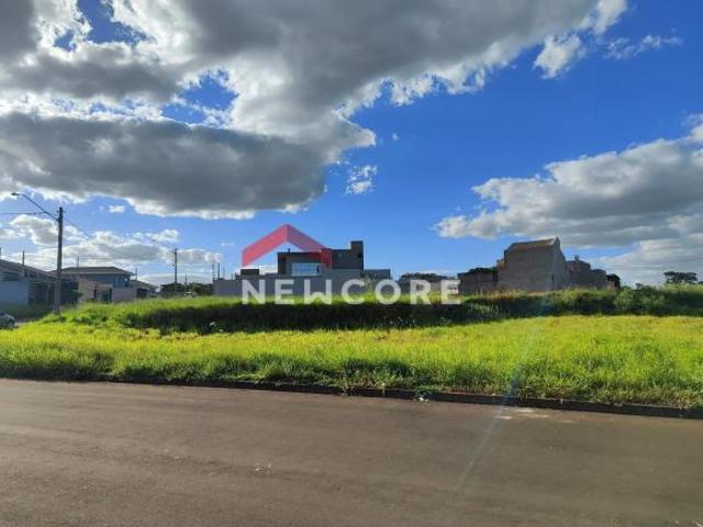 Lote em Rua Antonio Vasques Carreira Jardim Botânico Olímpia/SP