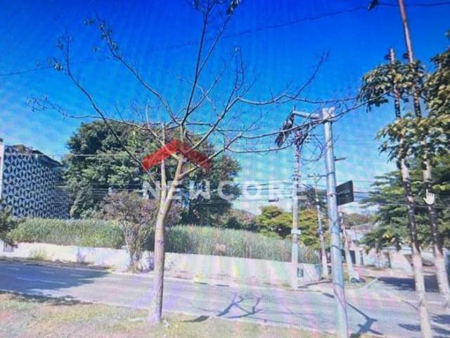Lote em Rua Anunze Boaçava São Paulo/SP