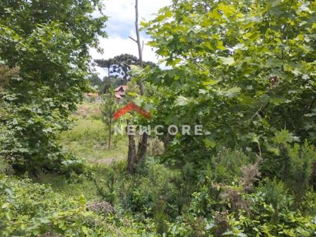Lote em Rua Boca Da Serra Remanso Indianópolis São Francisco de Paula/RS