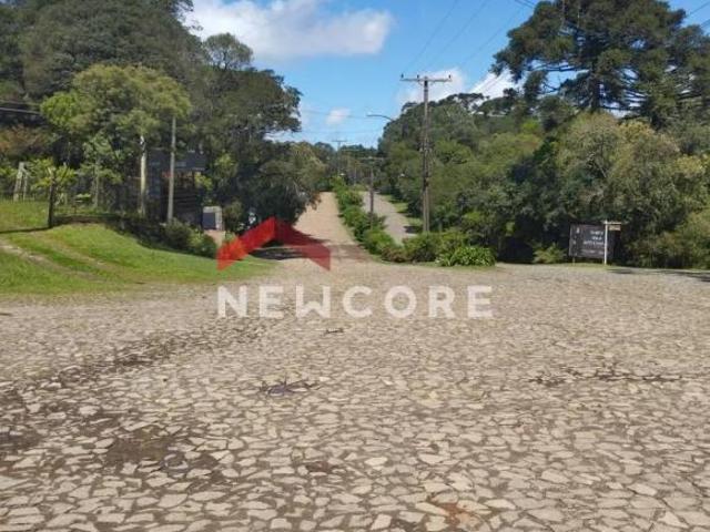 Lote em Rua Bracatinga Colinas São Francisco de Paula/RS