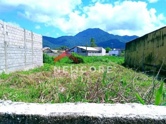 Lote em Rua Cacaueiro Estância dos Eucaliptos Peruíbe/SP