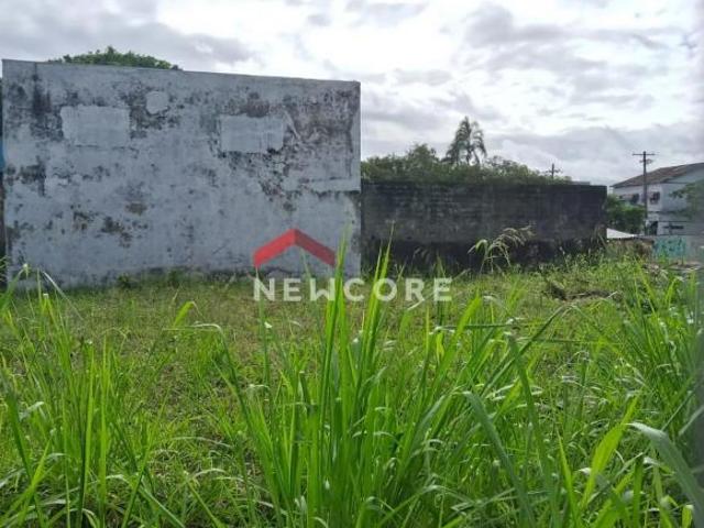 Lote em Rua Caetano Moratori Jardim São João Peruíbe/SP