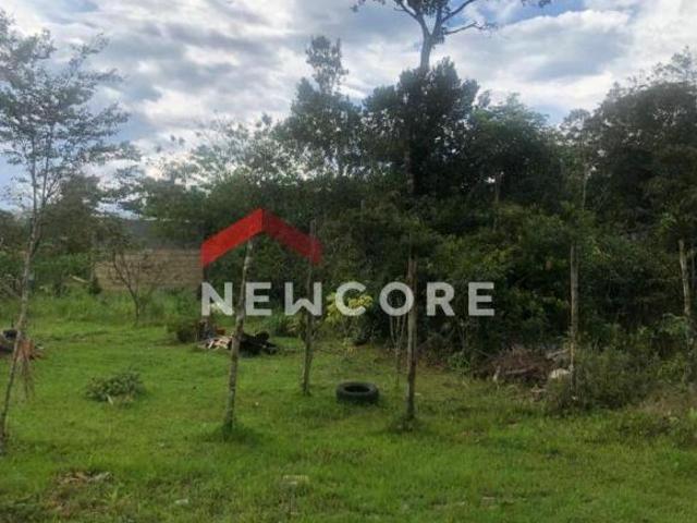 Lote em Rua Cipestre Jardim São Fernando Itanhaém/SP