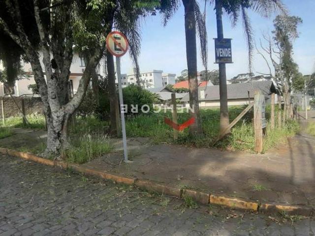 Lote em Rua Coelho Neto Petrópolis Caxias do Sul/RS