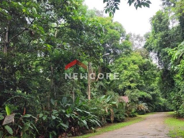 Lote em Rua das Guajuviras Park Imperial Caraguatatuba/SP