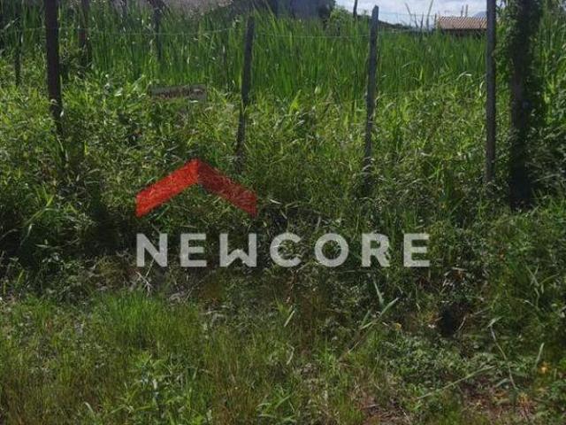 Lote em Rua Das Palmeiras Balneário Flórida Mirim Mongaguá/SP