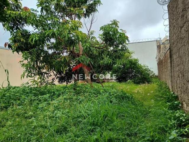 Lote em Rua do Projetista Jardim das Palmeiras Uberlândia/MG