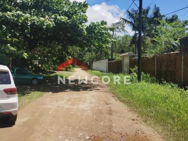 Lote em Rua dos Antúrios Jardim Europa Peruíbe/SP
