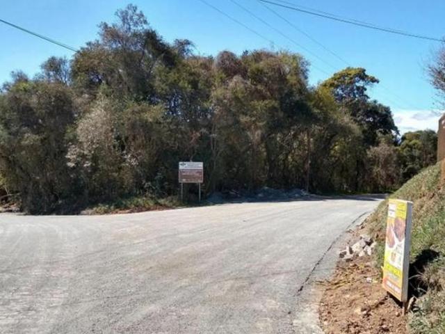 Lote em Rua Ernesto Juliatto Zacarias São José dos Pinhais/PR