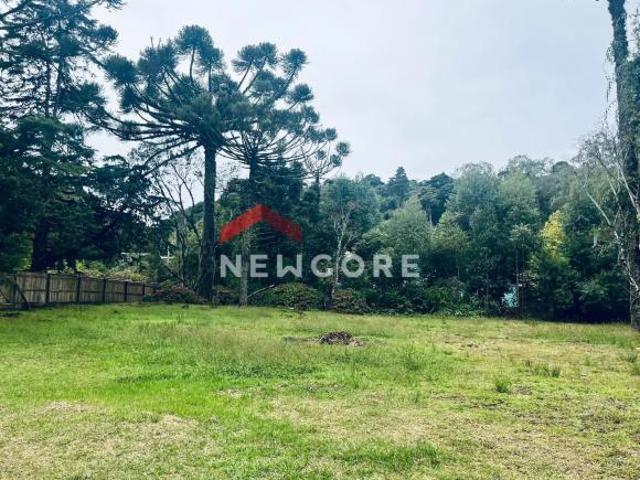 Lote em Rua Geral Parque Suíço Parque Suíço São Francisco de Paula/RS