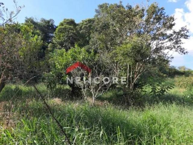 Lote em Rua Girassol do Carmo Canguera São Roque/SP