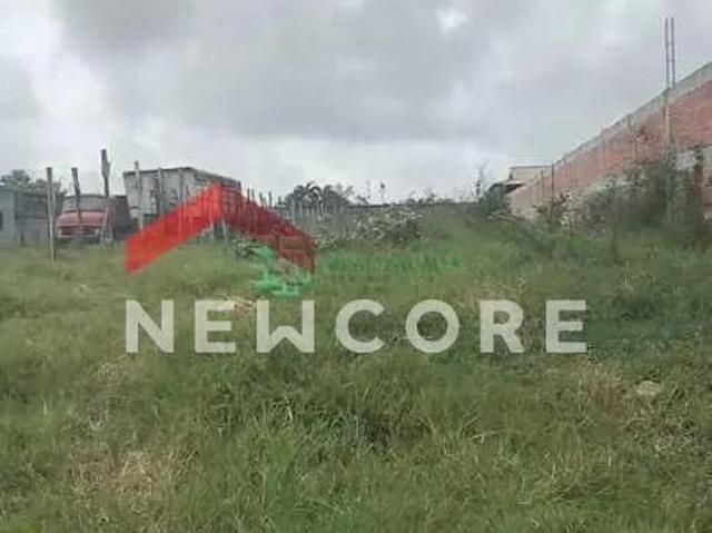 Lote em Rua H Agenor de Campos Mongaguá/SP