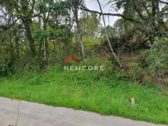 Lote em Rua Homero Pacheco Centro Canela/RS