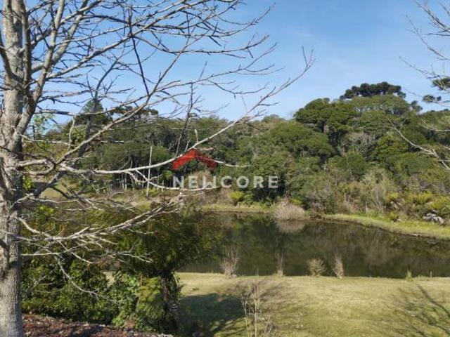 Lote em Rua Jasmins Colinas São Francisco de Paula/RS