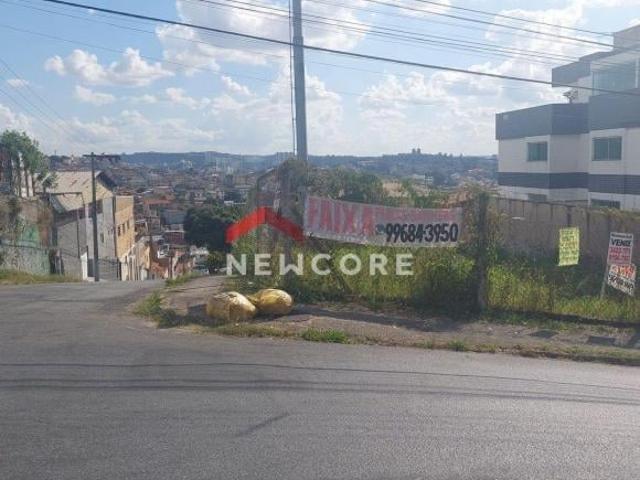 Lote em Rua Javari Renascença Belo Horizonte/MG