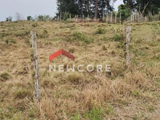 Lote em Rua Joaquim Alves Fontes Colônia Murici São José dos Pinhais/PR