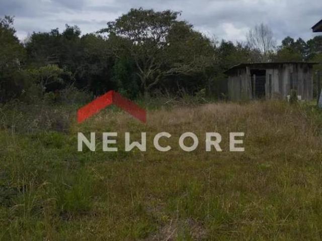 Lote em Rua José de Alencar Centro São Francisco de Paula/RS