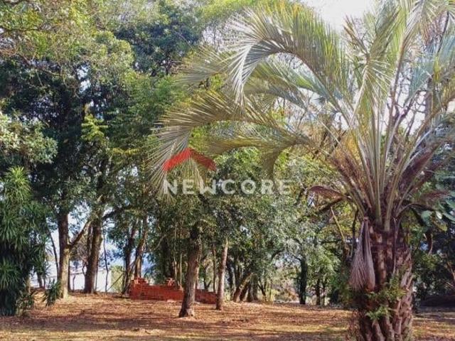 Lote em Rua Levino Dal Bosco São Virgílio Caxias do Sul/RS