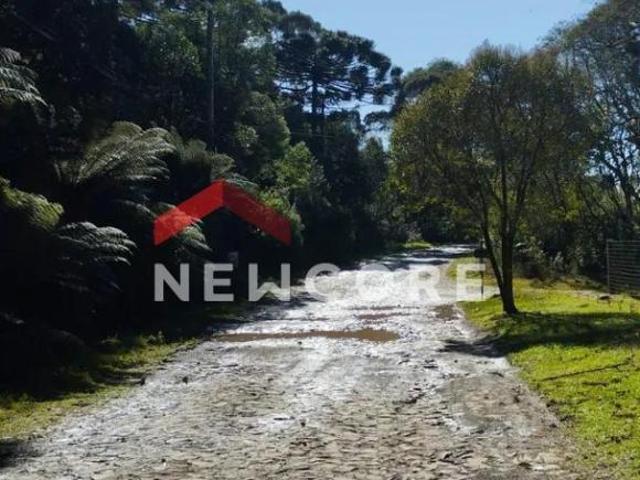 Lote em Rua Maracujás Colinas São Francisco de Paula/RS