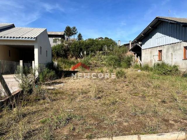 Lote em Rua Nilson Luís Gonçalves Campos de Cima São Francisco de Paula/RS