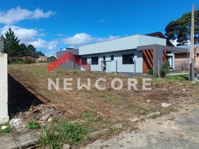 Lote em Rua Odenaur Pacheco dos Reis Cipó São Francisco de Paula/RS