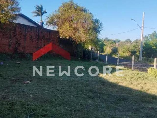 Lote em Rua Óleo Pardo Leonor Londrina/PR