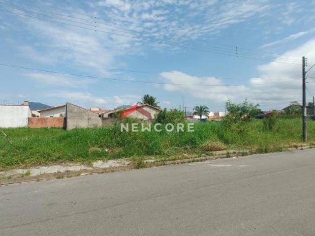 Lote em Rua Oswaldo Cruz Cidade Nova Peruíbe Peruíbe/SP