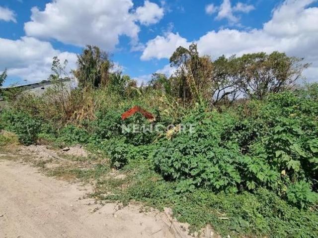 Lote em Rua Pavão de Ouro Jardim das Gaivotas Caraguatatuba/SP