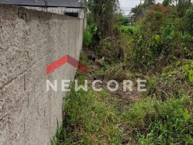 Lote em Rua Piquiri Jardim Jiçara Guaratuba/PR